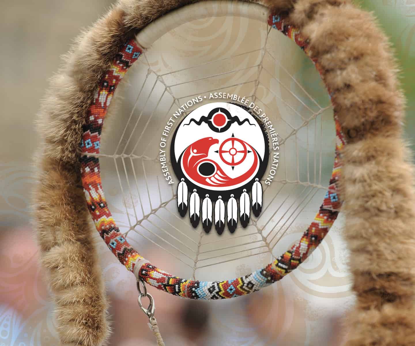 A First Nations’ Accessibility Hub of Excellence - Assembly of First ...