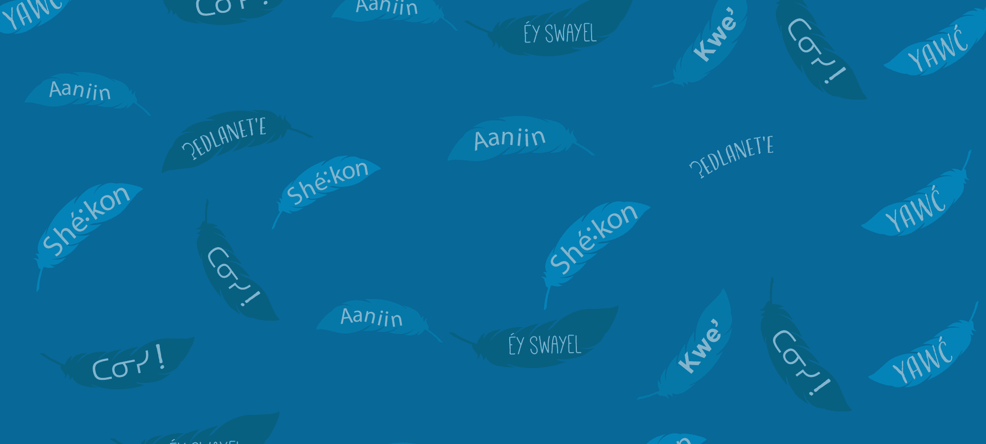 Languages and Learning Forum - Assembly of First Nations