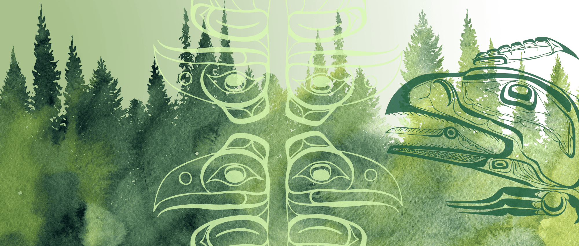 Assembly of First Nations (AFN) – Environment Sector Webinar Series ...